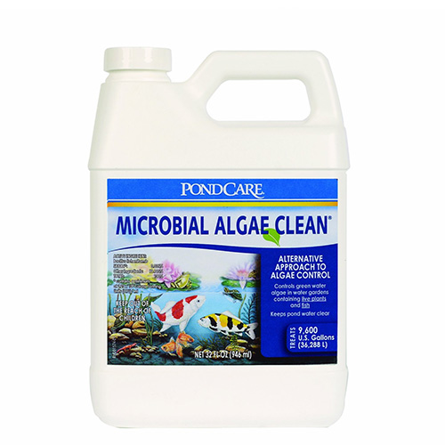 PondCare Microbial Algae Clean 32-oz. - Gardenponds.com